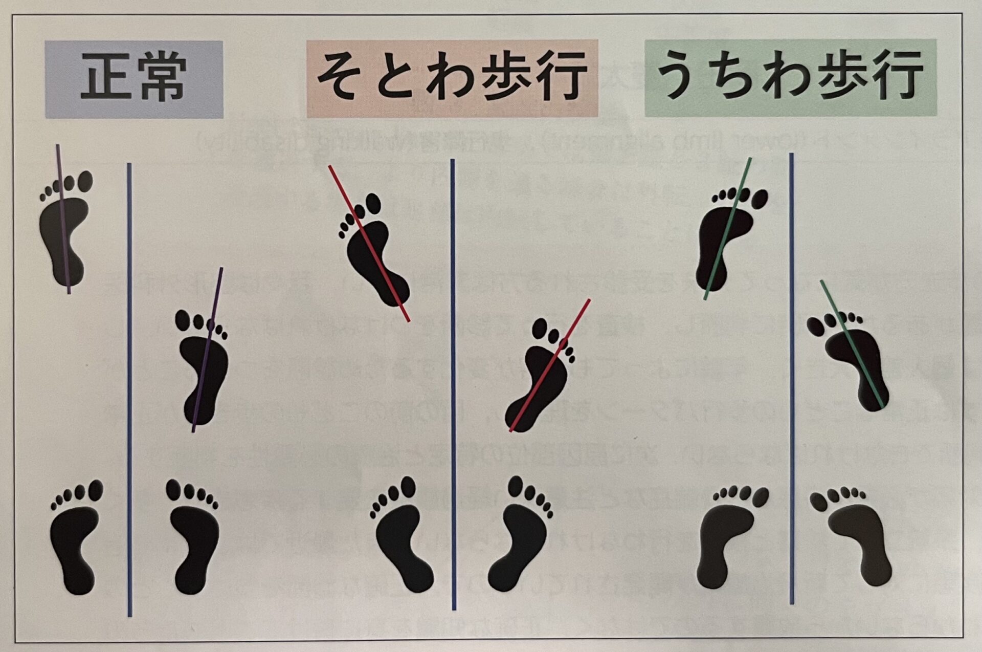 ※歩行のfoot print